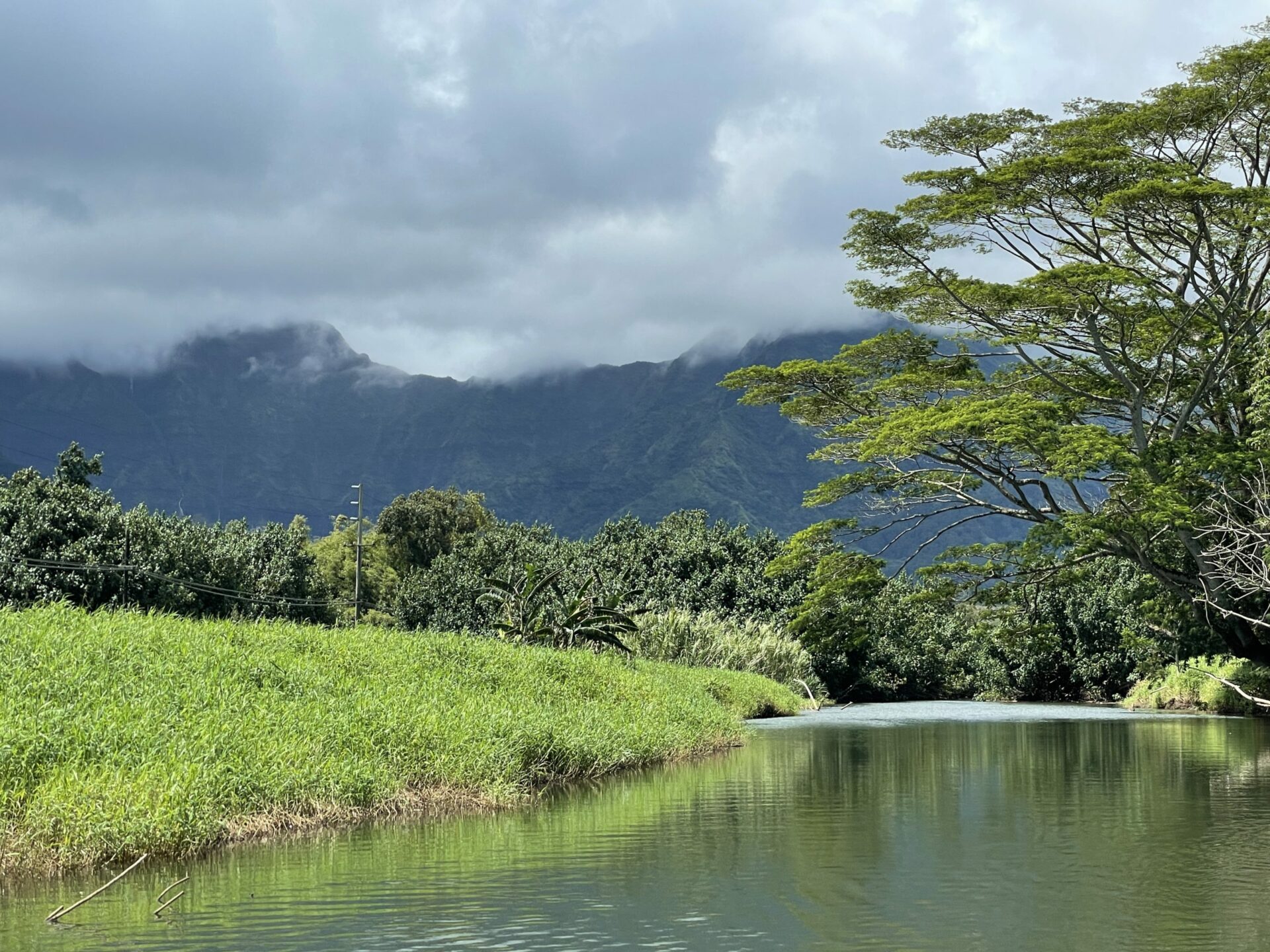 Paddle Boarding the Hanalei River - Travel Poipu